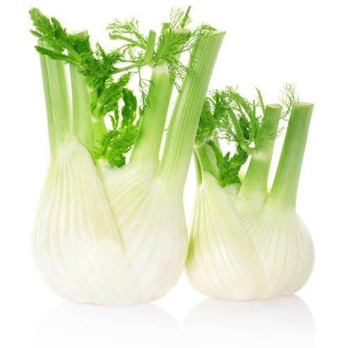 Herbs & Bunching - Fairbanks Seeds
