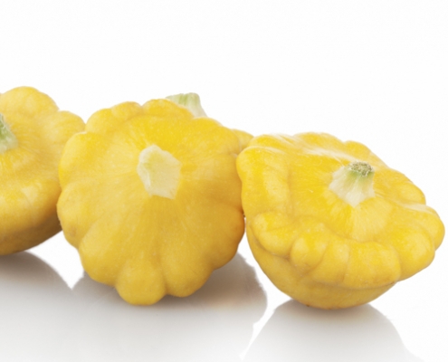 Yellow Button Squash - Gold Buttons F1 - Fairbanks Seeds