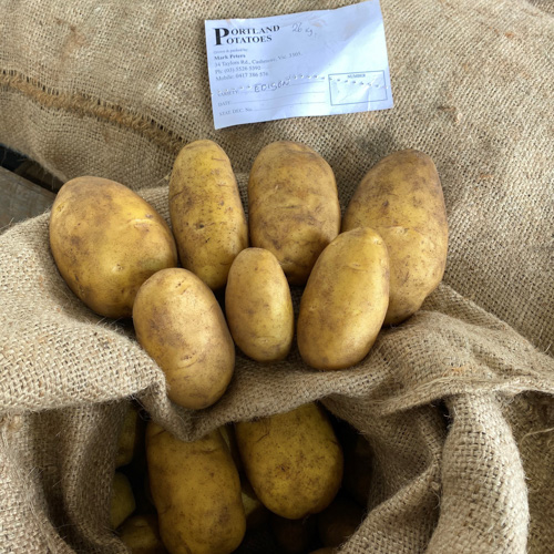 Potato - Edison - Fairbanks Seeds